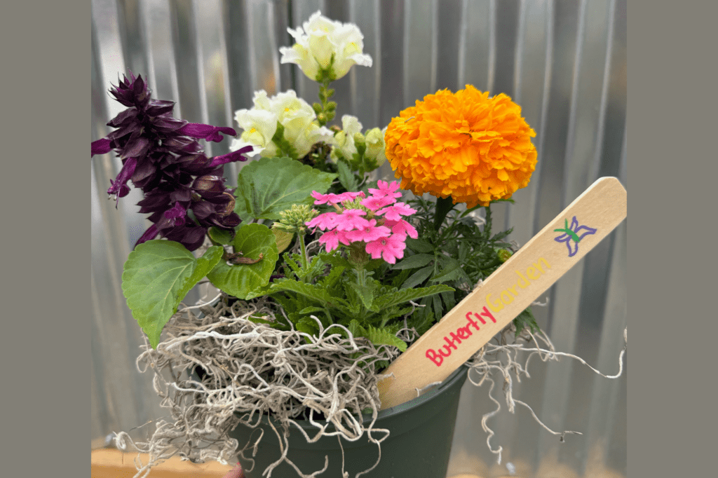 Mini Pollinator Garden Kids Class - Pantano Outdoor Supply